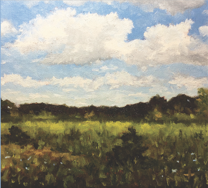 Noblesville Creates | Hoosier Salon to Feature Art by Michael Janosky